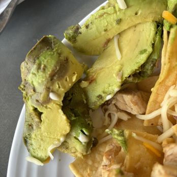 YELLOW BRIX RESTAURANT - 334 Photos & 632 Reviews - 201 N Canal St ...