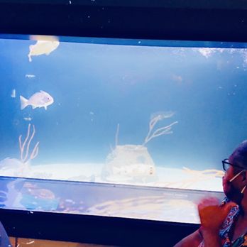 UGA MARINE EDUCATION CENTER & AQUARIUM - Updated August 2025 - 66 ...