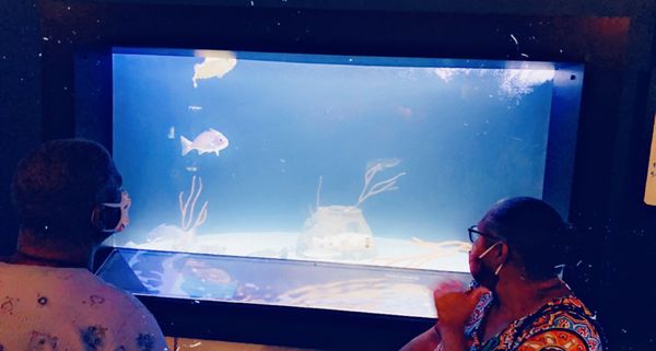 UGA MARINE EDUCATION CENTER & AQUARIUM - Updated July 2024 - 33 Photos ...