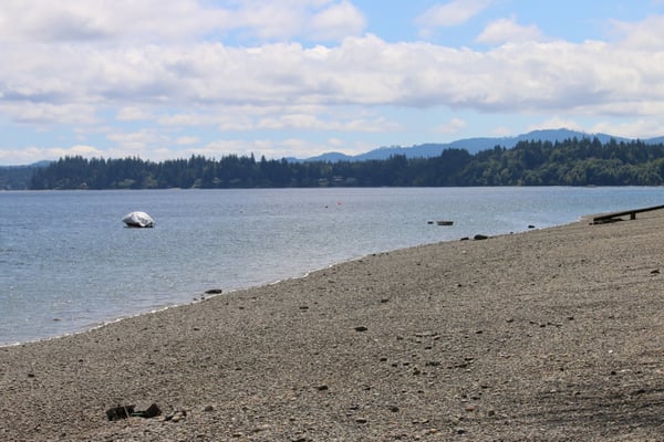 ELD INLET - Updated October 2025 - 11 Photos - Olympia, Washington ...