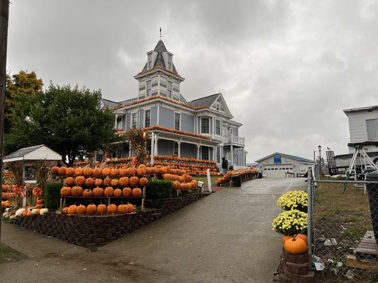 THE PUMPKIN HOUSE - Updated July 2025 - 13 Photos - 748 Beech St, Kenova, West Virginia ...