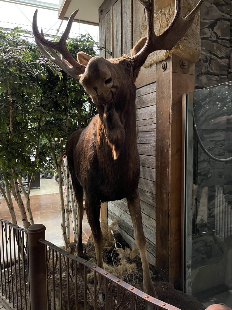 BASS PRO SHOPS - Updated October 2025 - 77 Photos & 53 Reviews - 6425 ...