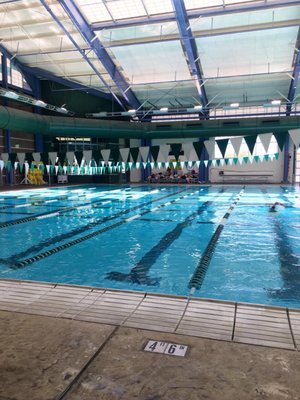 Pavilion Center Pool - 23 Photos & 15 Reviews - Swimming Pools - 101 S ...