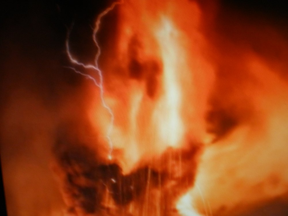 THE BUG LADY - Updated September 2025 - 10 Photos - Lakeside ...