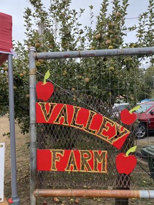 VOLCAN VALLEY APPLE FARM - Updated October 2025 - 253 Photos & 136 ...
