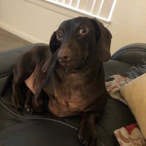 KINGSBURG VETERINARY CLINIC - Updated January 2026 - 42 Photos & 105 ...