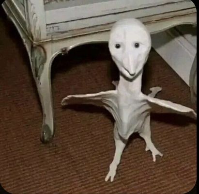 ROSS SHEPPARD HIGH SCHOOL - Updated January 2026 - 13546 111 Avenue NW ...