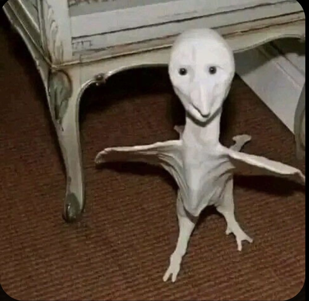 ROSS SHEPPARD HIGH SCHOOL - Updated February 2025 - 13546 111 Avenue NW ...