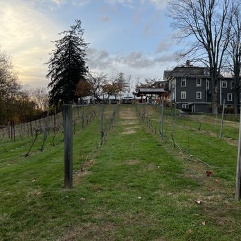 TORNE VALLEY VINEYARDS - Updated July 2024 - 286 Photos & 147 Reviews ...