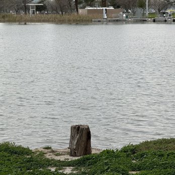 BUENA VISTA LAKE - Updated January 2026 - 96 Photos & 54 Reviews - Enos ...