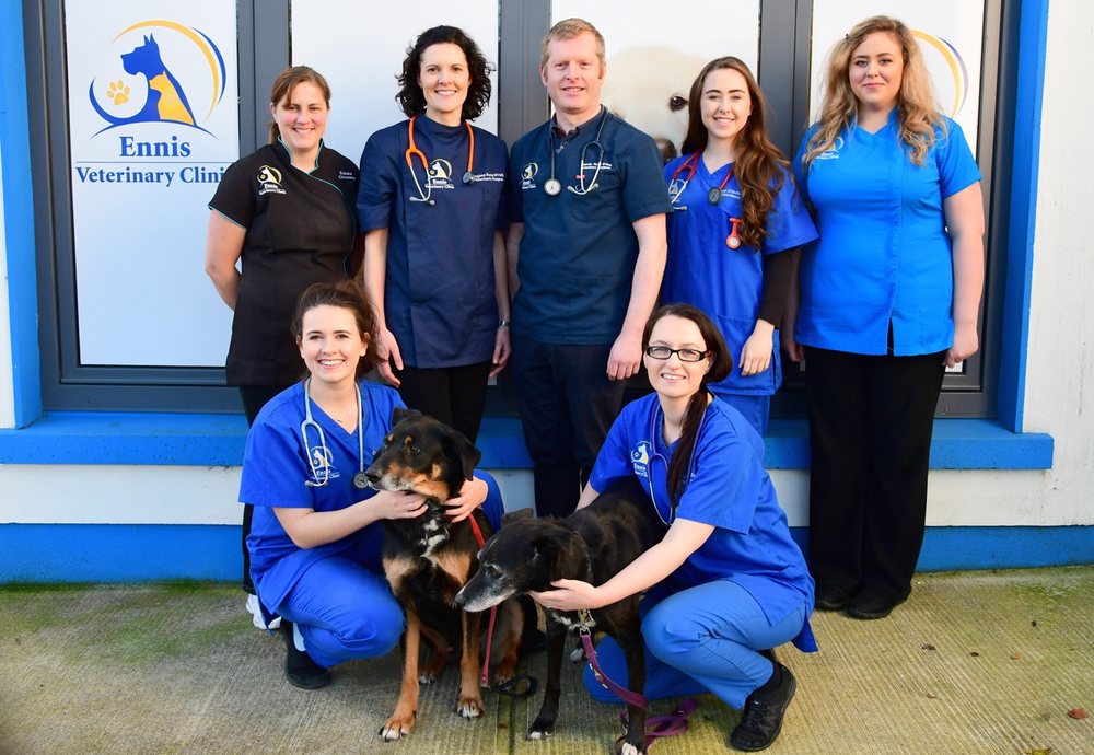 ENNIS VETERINARY CLINIC - Updated February 2025 - Request Consultation ...