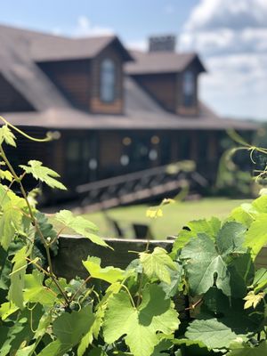 ENOCH’S STOMP VINEYARD & WINERY - Updated June 2024 - 129 Photos & 83 ...