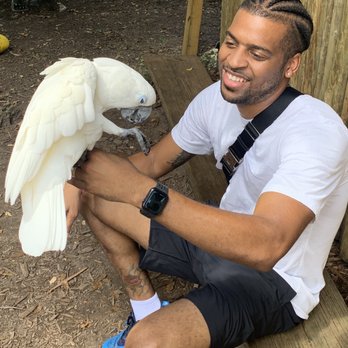 ZOOLOGICAL WILDLIFE FOUNDATION - Updated June 2024 - 866 Photos & 239 ...