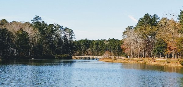 TOM TRIPLETT COMMUNITY PARK - 157 Photos & 22 Reviews - 100 Tom ...