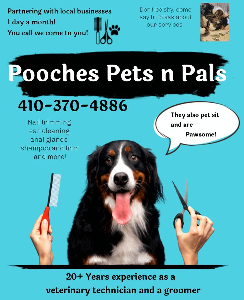 POOCHES PETS N PALS - Updated September 2025 - 43 Photos - 1727 Indian ...