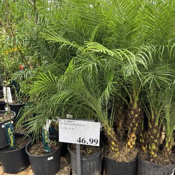 COSTCO WHOLESALE - Updated December 2025 - 130 Photos & 48 Reviews ...