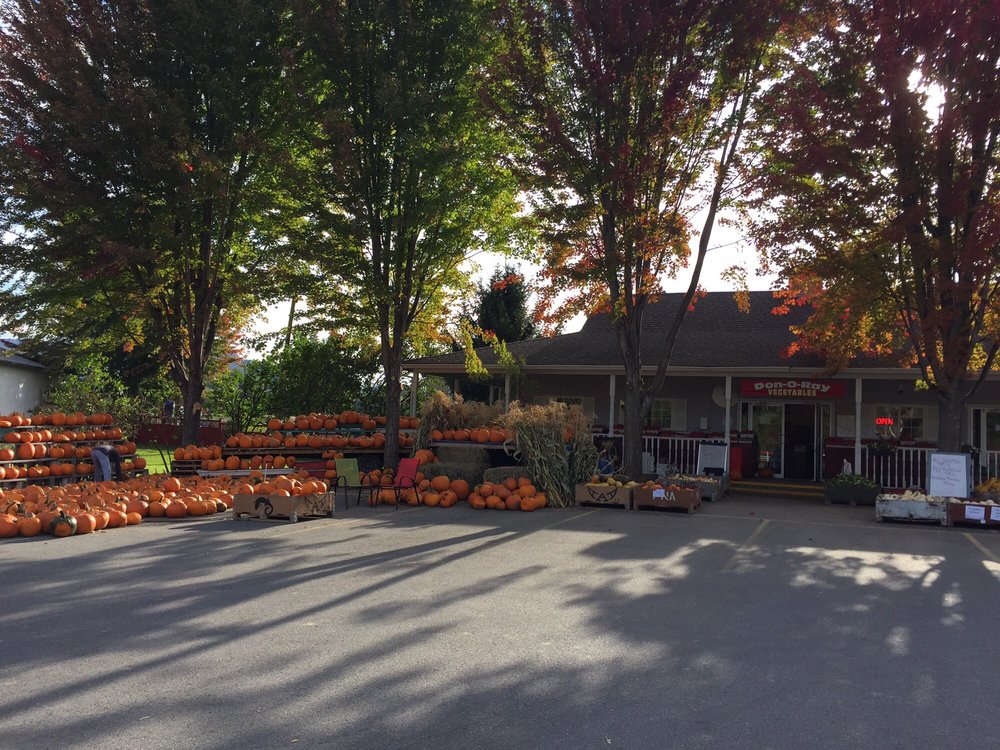DON-O-RAY VEGETABLES - Updated December 2025 - 11 Photos - 3443 ...