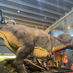 SAINT LOUIS SCIENCE CENTER - 620 Photos & 236 Reviews - 5050 Oakland ...