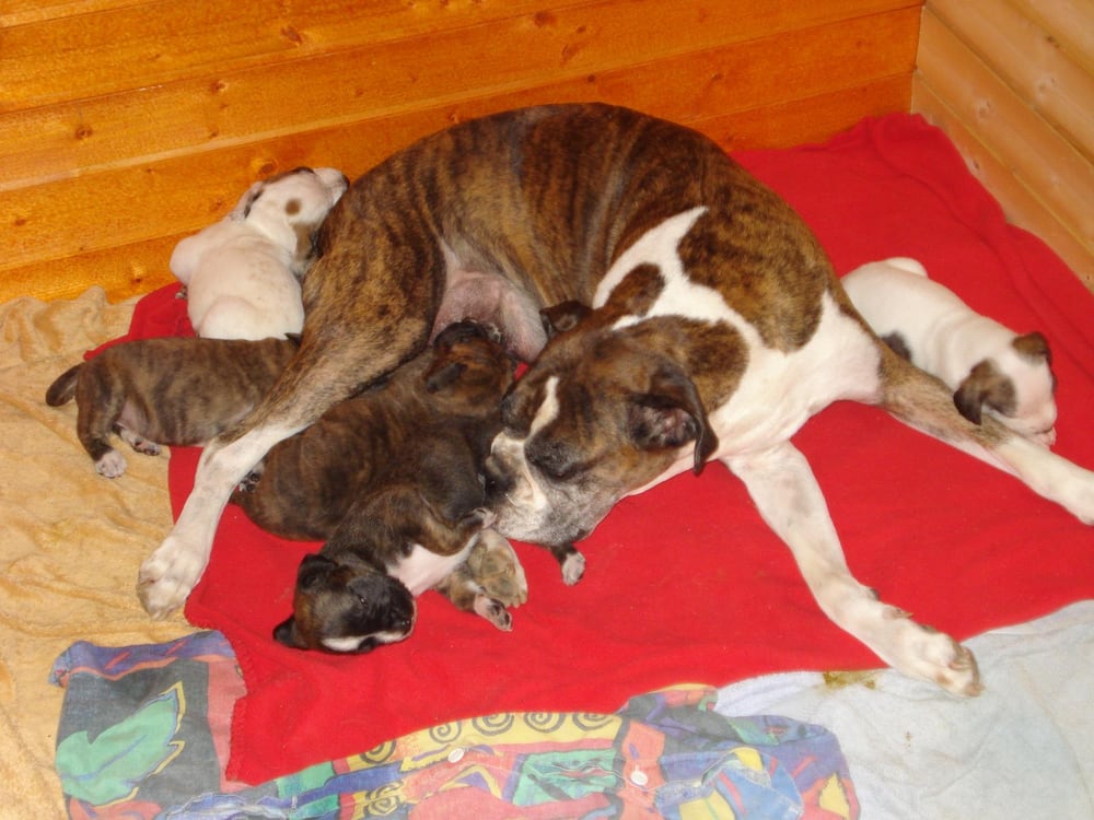 CORINNE RITTER - Updated July 2024 - Rue de Villereuse 7, Genève ...