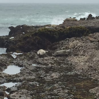 POINT ARENA-STORNETTA PUBLIC LANDS - Updated April 2025 - 114 Photos ...