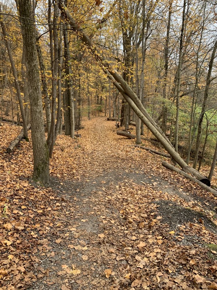 BLOOMER PARK - Updated October 2024 - 95 Photos & 26 Reviews - 345 John ...