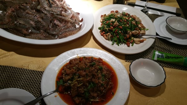 AMAZING WOK - Updated January 2026 - 14 Photos & 20 Reviews - 1892 ...