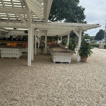 HARBES FAMILY FARM & VINEYARD - Updated August 2025 - 841 Photos & 301 ...