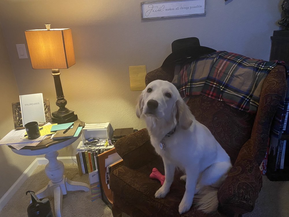 TENDER LOVING ANIMAL CARE - Updated May 2025 - 26 Photos & 19 Reviews ...