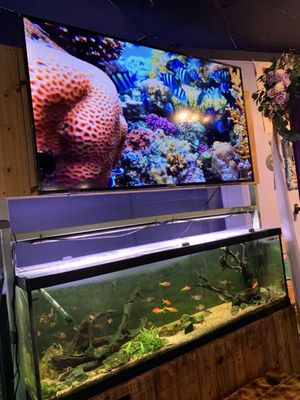 FLOATING SEA AQUATICS - Updated January 2026 - 292 Photos & 68 Reviews ...