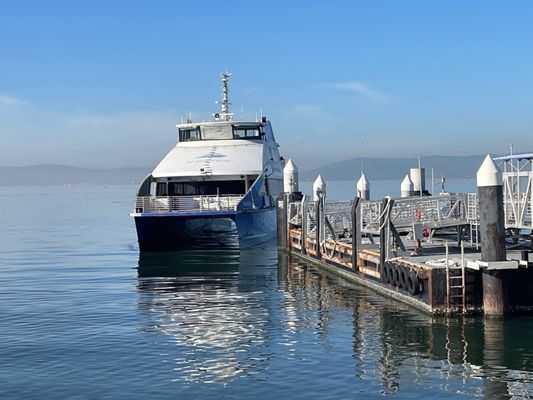 SAN FRANCISCO BAY FERRY - HARBOR BAY TERMINAL - Updated August 2024 ...