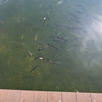 ALABAMA JACK’S - Updated December 2025 - 902 Photos & 648 Reviews ...