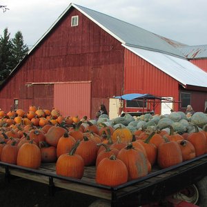 MOSHER FARMS - Updated July 2025 - 3214 Fargo Rd, Bouckville, New York ...