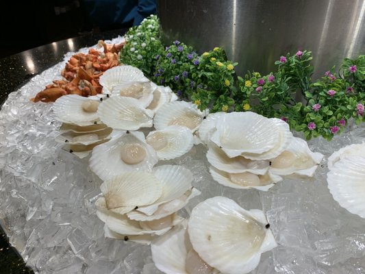 A+ BUFFET SUSHI & BAR - 87 Photos & 66 Reviews - 6712 Macleod Trail SE ...