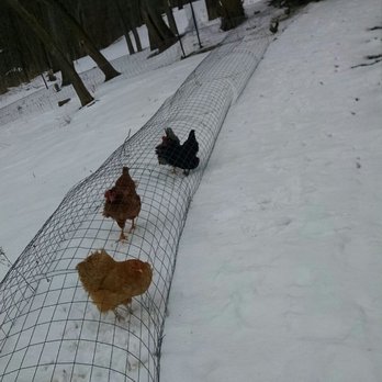 KETTLE RIDGE FARM - Updated November 2025 - 82 Photos & 14 Reviews ...