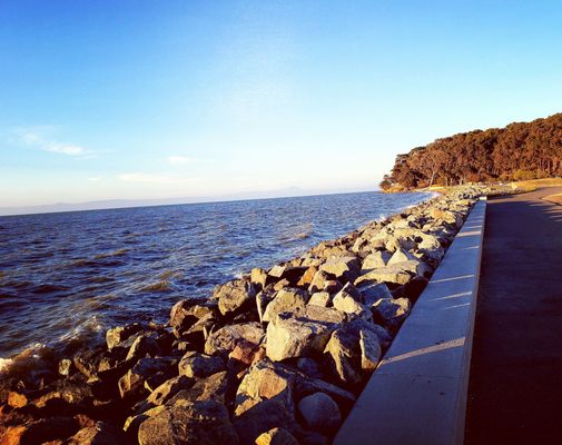 COYOTE POINT RECREATION AREA - 606 Photos & 221 Reviews - Parks - 1701 ...