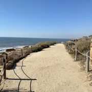 POINT LOMA TIDE POOLS - 816 Photos & 126 Reviews - Gatchell Rd, San ...