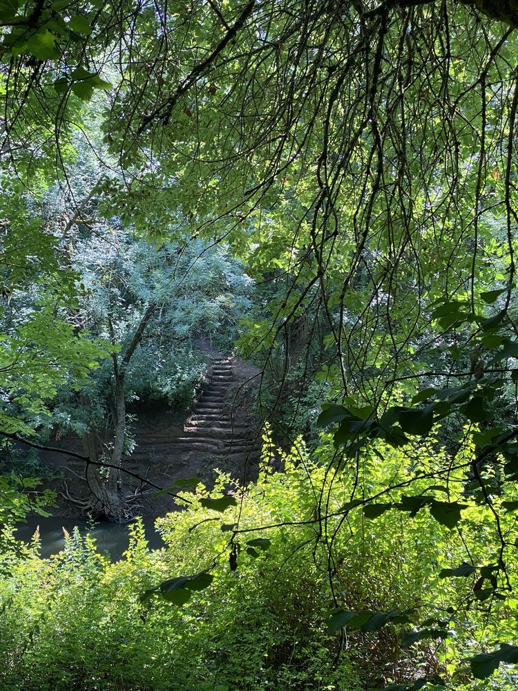 ROOD BRIDGE PARK - Updated December 2025 - 56 Photos & 31 Reviews ...