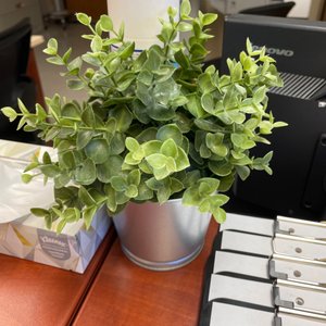 APRIA HEALTHCARE - Updated October 2025 - 15 Photos & 175 Reviews ...