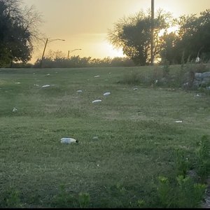 JOE POOL LAKE RECREATION AREA LYNN CREEK PARK - 42 Photos & 21 Reviews ...