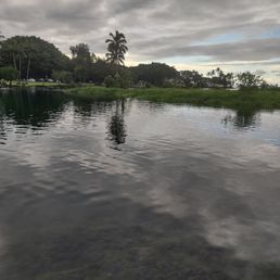 PONDS HILO - Updated October 2025 - 618 Photos & 590 Reviews - 135 ...