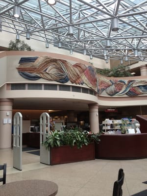 Z J LOUSSAC PUBLIC LIBRARY - Updated November 2025 - 44 Photos & 29 ...