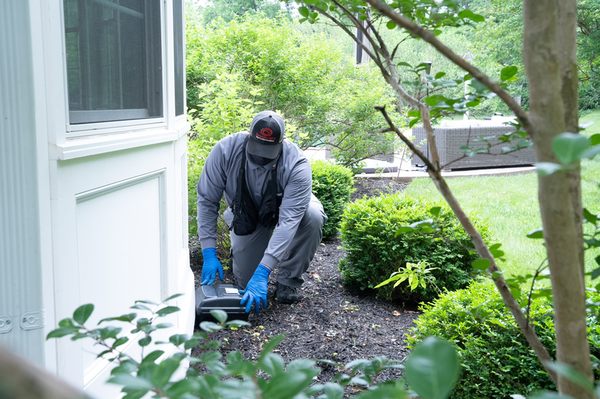 HOLIDAY TERMITE & PEST CONTROL - Updated October 2025 - 24 Photos & 211 ...