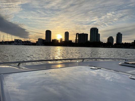 PIER DOLPHIN CRUISES - Updated August 2025 - 145 Photos & 48 Reviews ...