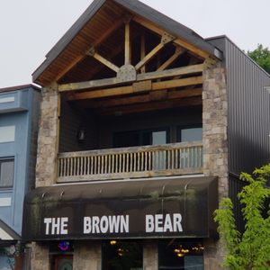Brown Bear Shelby Mi