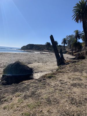 REFUGIO STATE BEACH - Updated November 2024 - 199 Photos & 122 Reviews ...