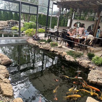 AQUA PAZZO - Updated June 2024 - 182 Photos & 160 Reviews - 492 Mcclurg Rd, Youngstown, Ohio ...