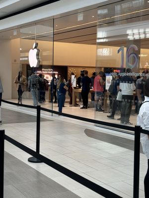 APPLE DEL AMO - Updated September 2025 - 44 Photos & 34 Reviews - 3525 ...
