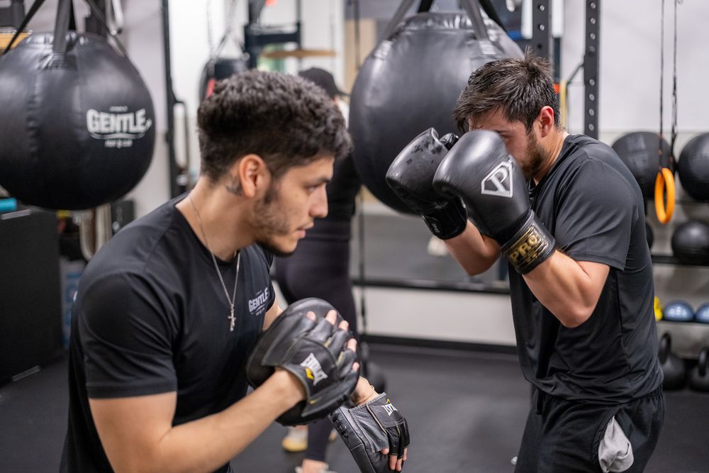GENTLE FIGHT CLUB - Updated May 2026 - 18 Photos - 715 E Huntington Dr ...