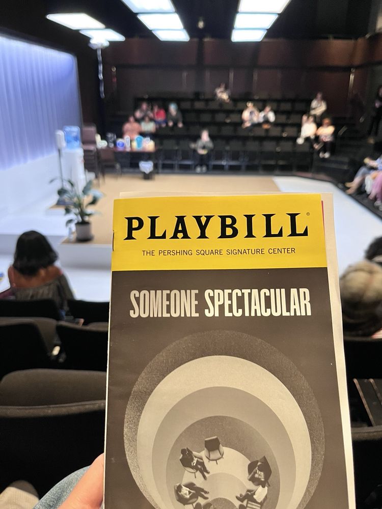 THE ROMULUS LINNEY COURTYARD THEATRE - Updated December 2025 - 480 West ...