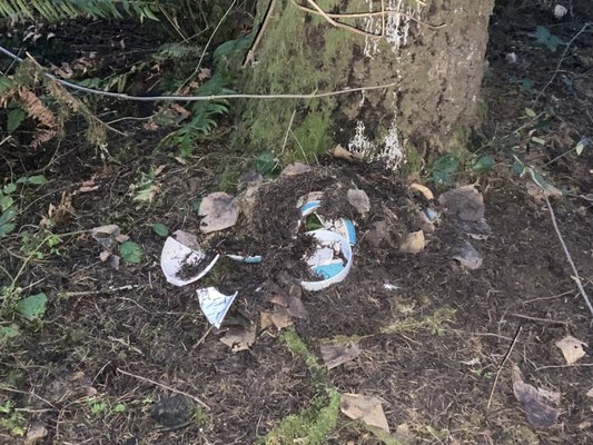 PARADISE POINT STATE PARK - Updated July 2025 - 68 Photos & 43 Reviews ...